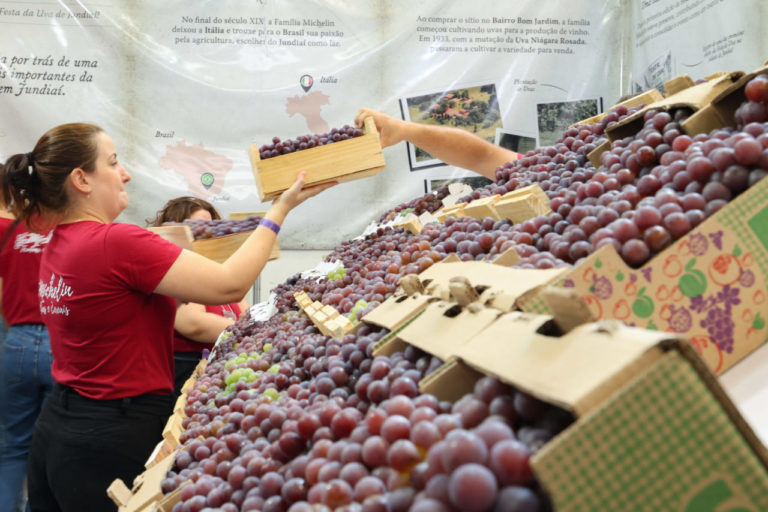 DAE amplia estrutura de abastecimento para Festa da Uva e Expo Vinhos ...